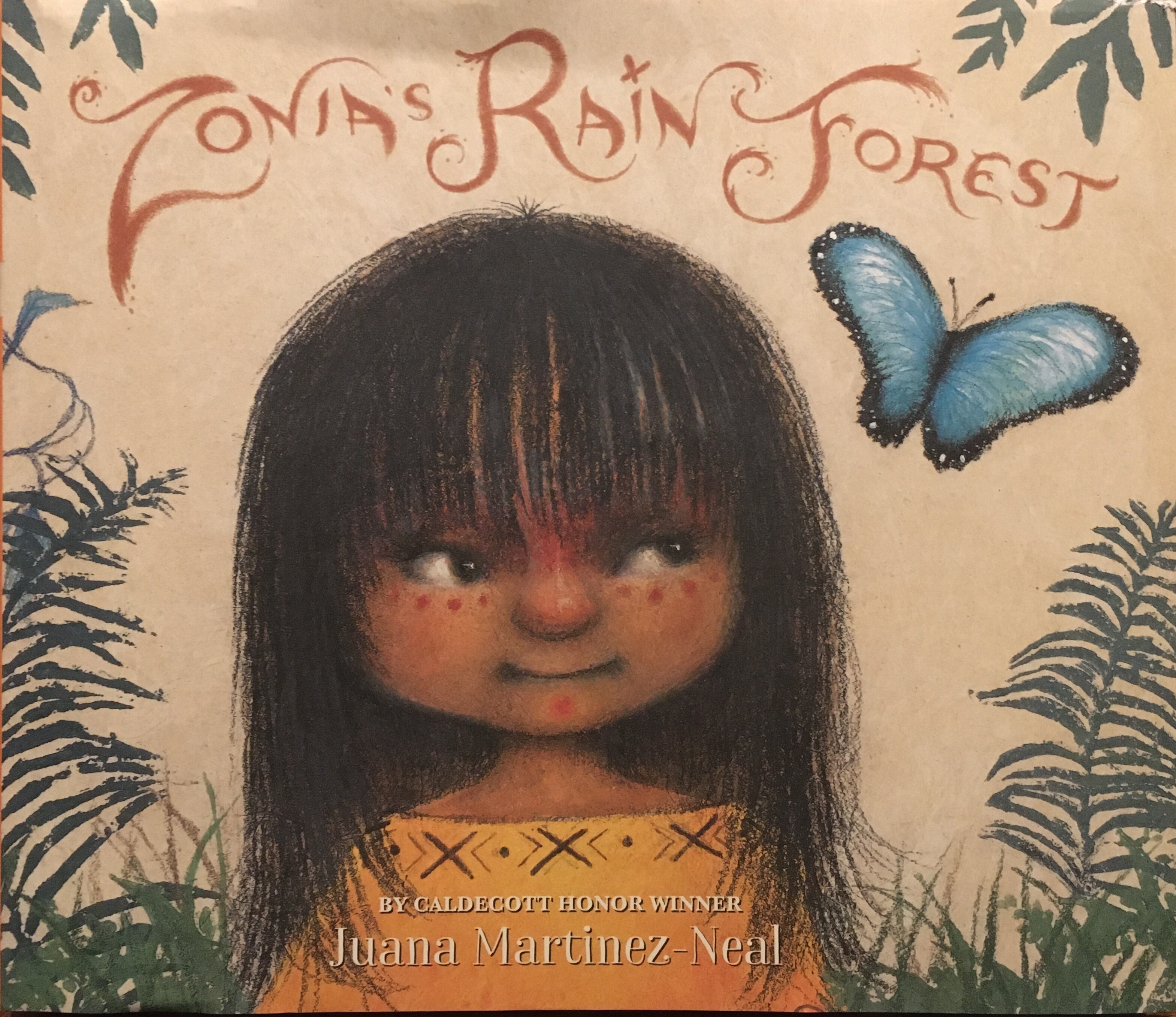 Book Review: Zonia’s Rain Forest – lessons the children have to teach ...