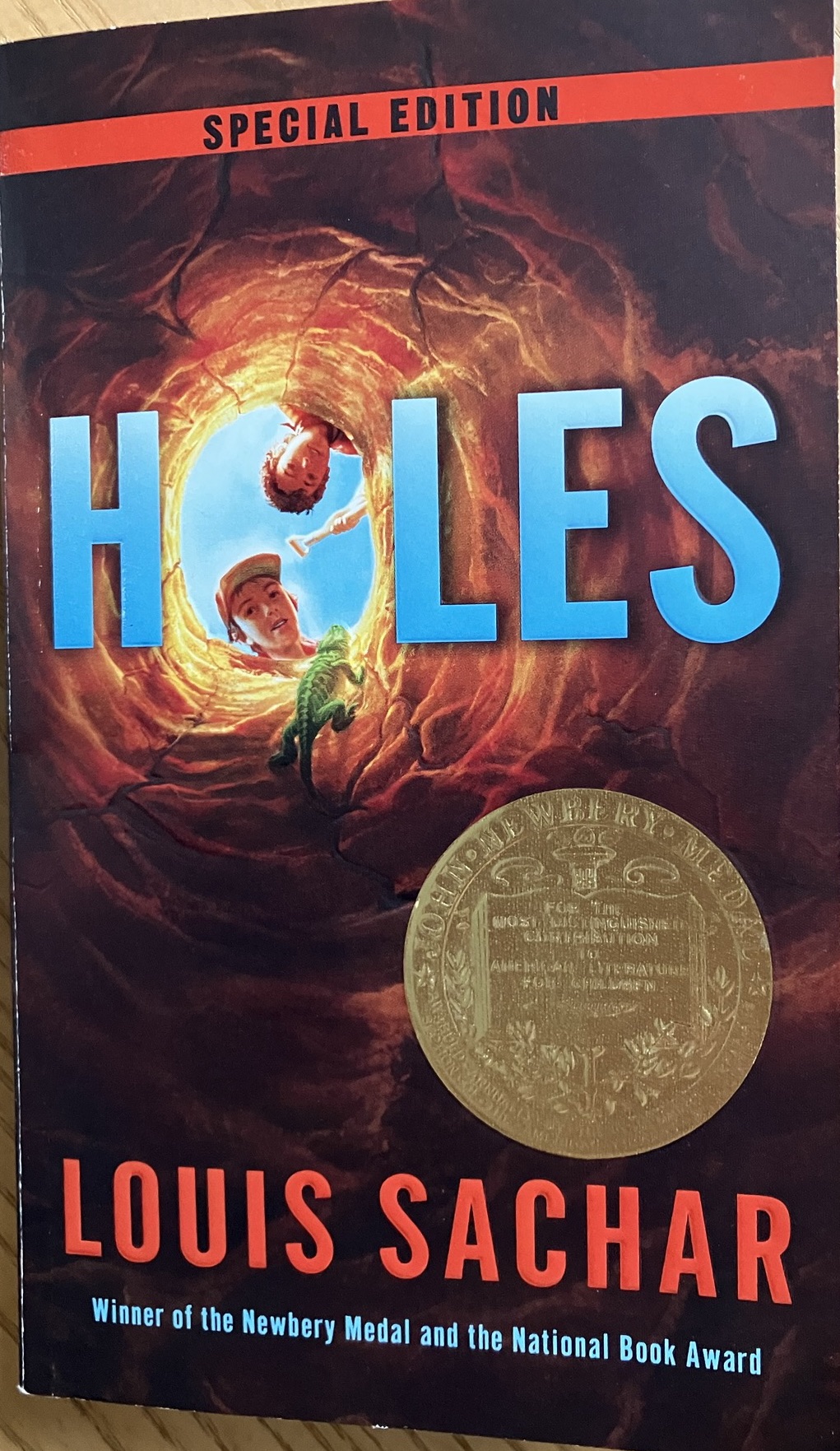Book Review: Holes by Louis Sachar. A book that hooked my non-bookworm ...